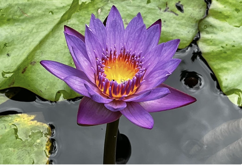 Live the Possibility | Edward Zaydelman